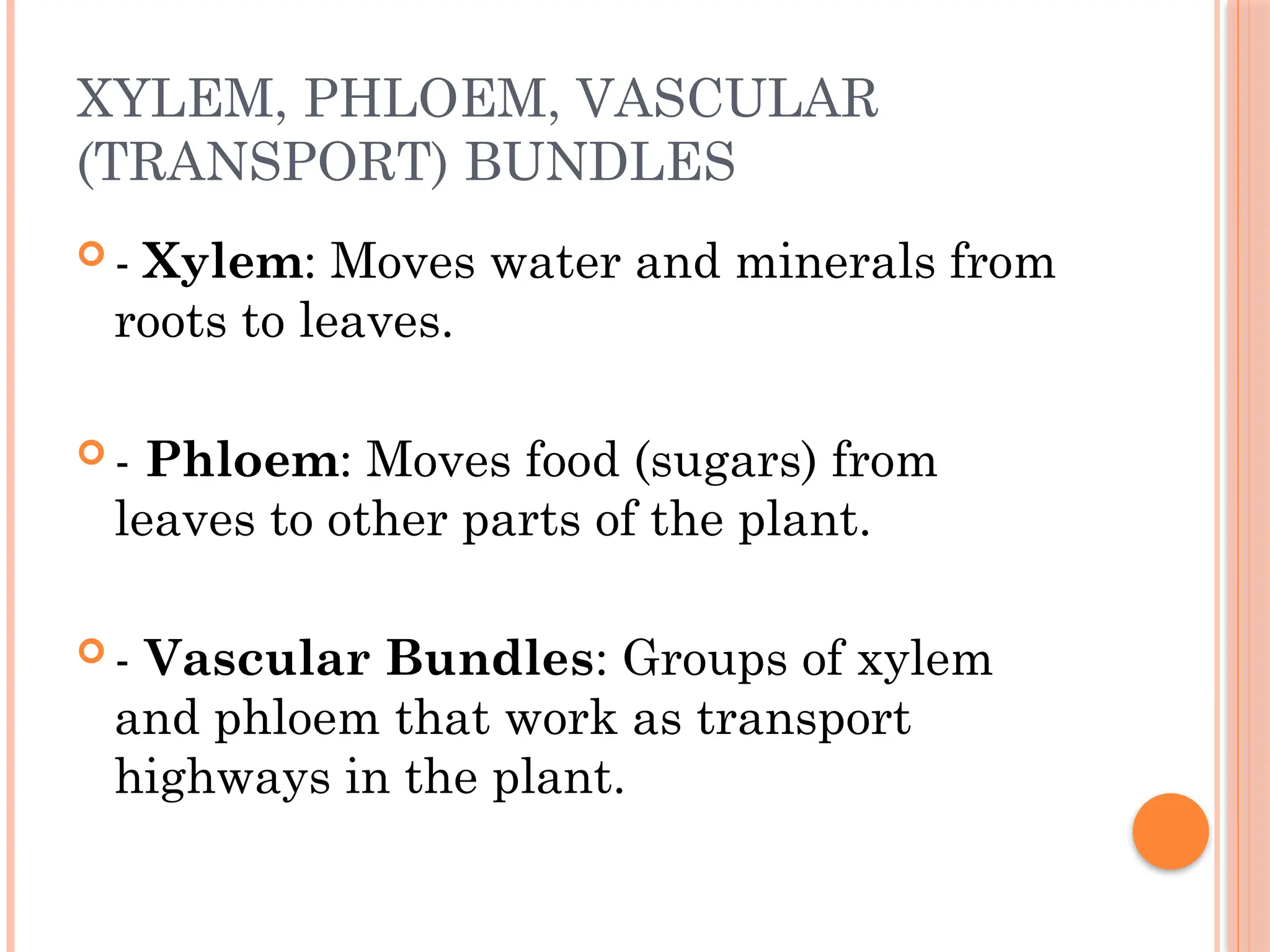 Transport_Systems_in_Plants for the 8th grade.pptx
