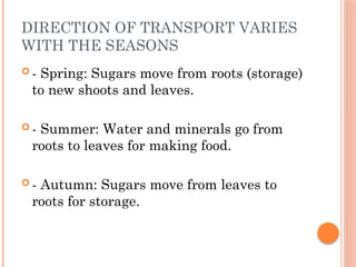 Transport_Systems_in_Plants for the 8th grade.pptx