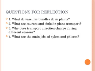 Transport_Systems_in_Plants for the 8th grade.pptx