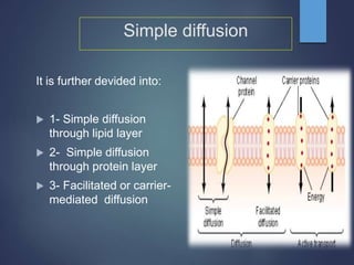 Transport through cell membrane | PPTX