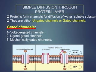 Transport through cell membrane | PPTX