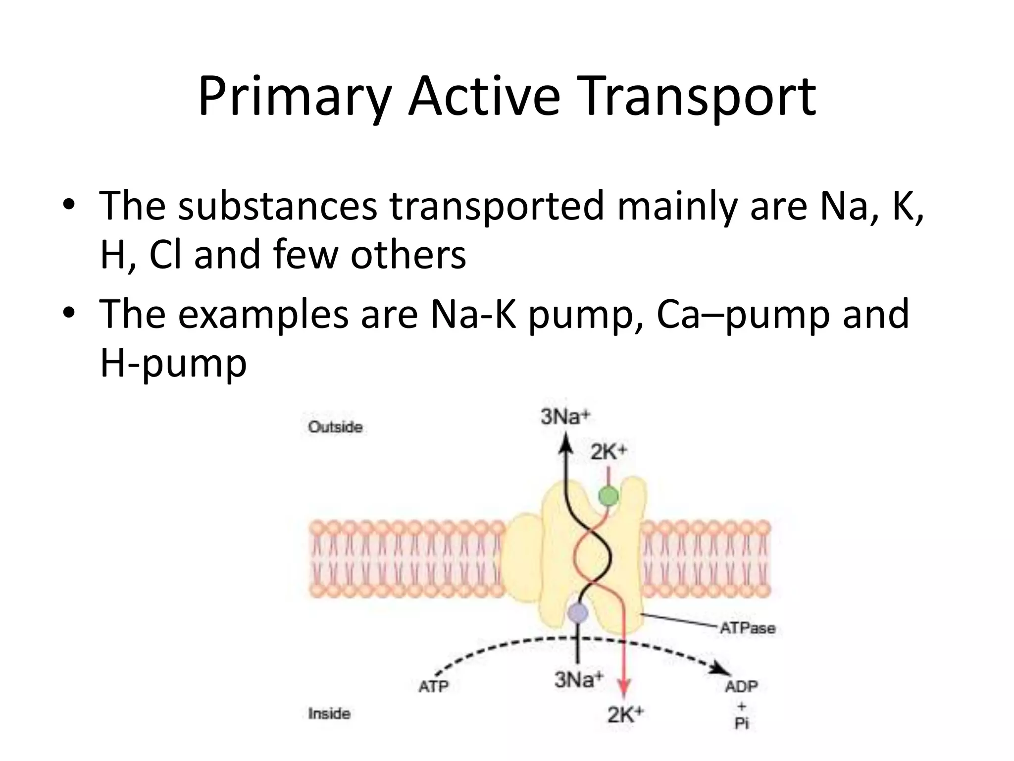 Transport through cell membrane.pptx