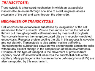 Transport through cell membrane | PPT
