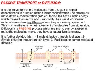 Transport through cell membrane | PPT