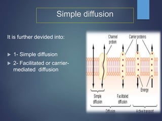Transport through cell membrane | PPT