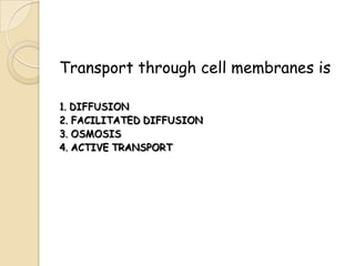 Transport Through Cell Membranes | PPT