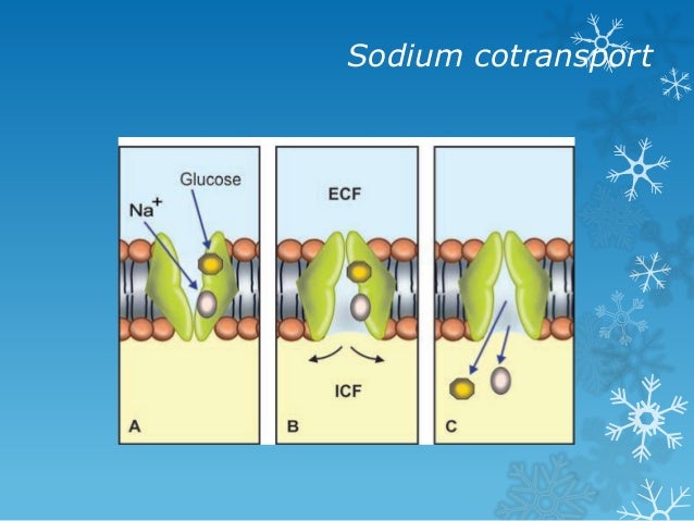 Transport through plasma membrane