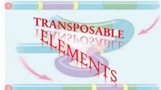 Transposable Elements | PPT