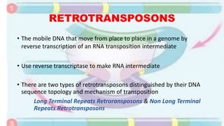 Transposable Elements | PPT