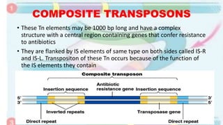 Transposable Elements | PPT