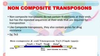 Transposable Elements | PPTX