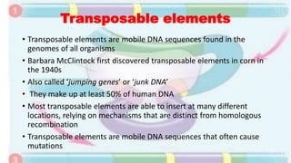 Transposable Elements | PPT