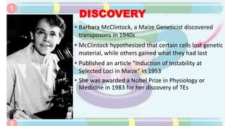 Transposable Elements | PPTX