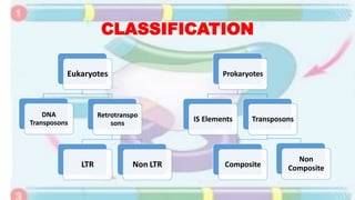 Transposable Elements | PPT