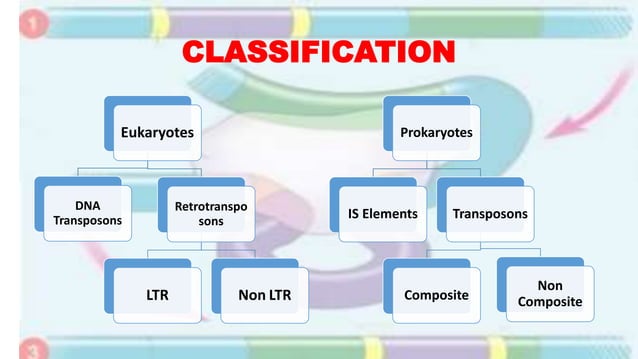 Transposable Elements | PPT