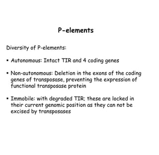 transposable element.pdf