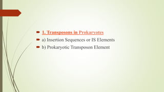 transposable element presentation from Misha | PPT