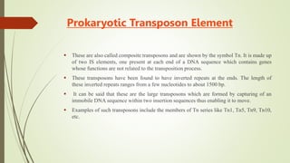 transposable element presentation from Misha | PPT