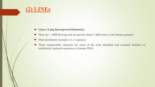 transposable element presentation from Misha | PPT