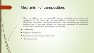 transposable element presentation from Misha | PPT