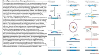 Transposable elements | PPTX