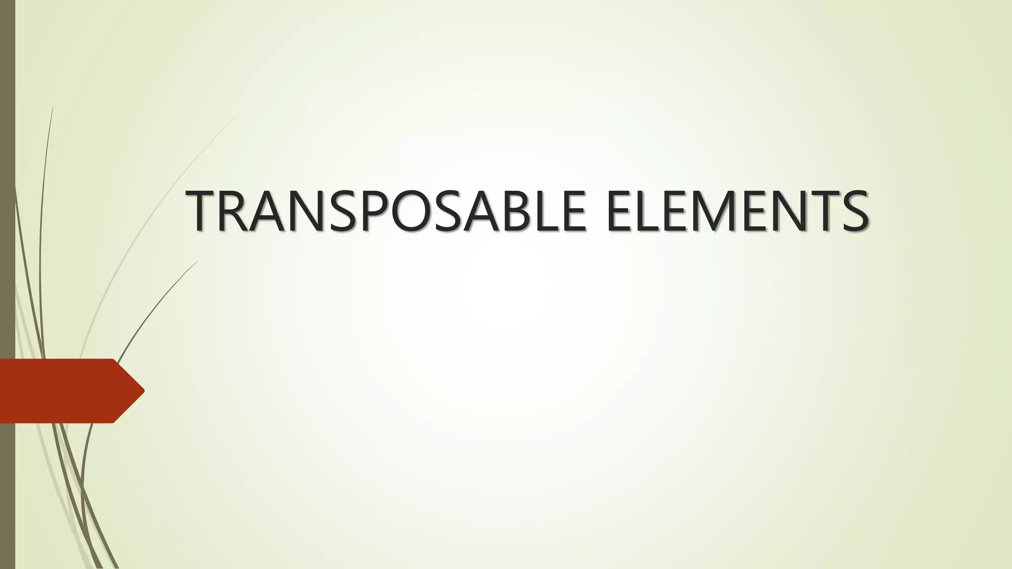 Transposable Elements Ppt