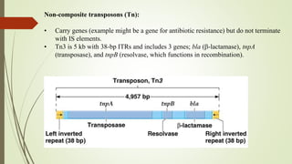 Transposable elements | PPTX