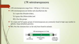 Transposable elements | PPTX