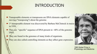 Transposable elements | PPTX