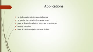 Transposable elements | PPTX