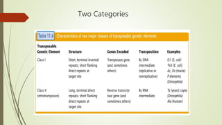 Transposable elements | PPTX