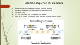Transposable elements | PPTX