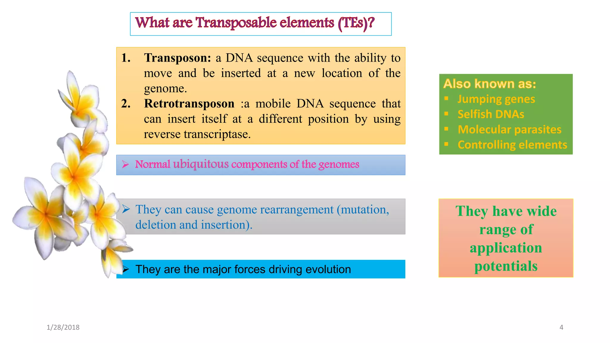 Transposable elements | PPT