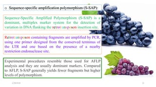 Transposable elements | PPT