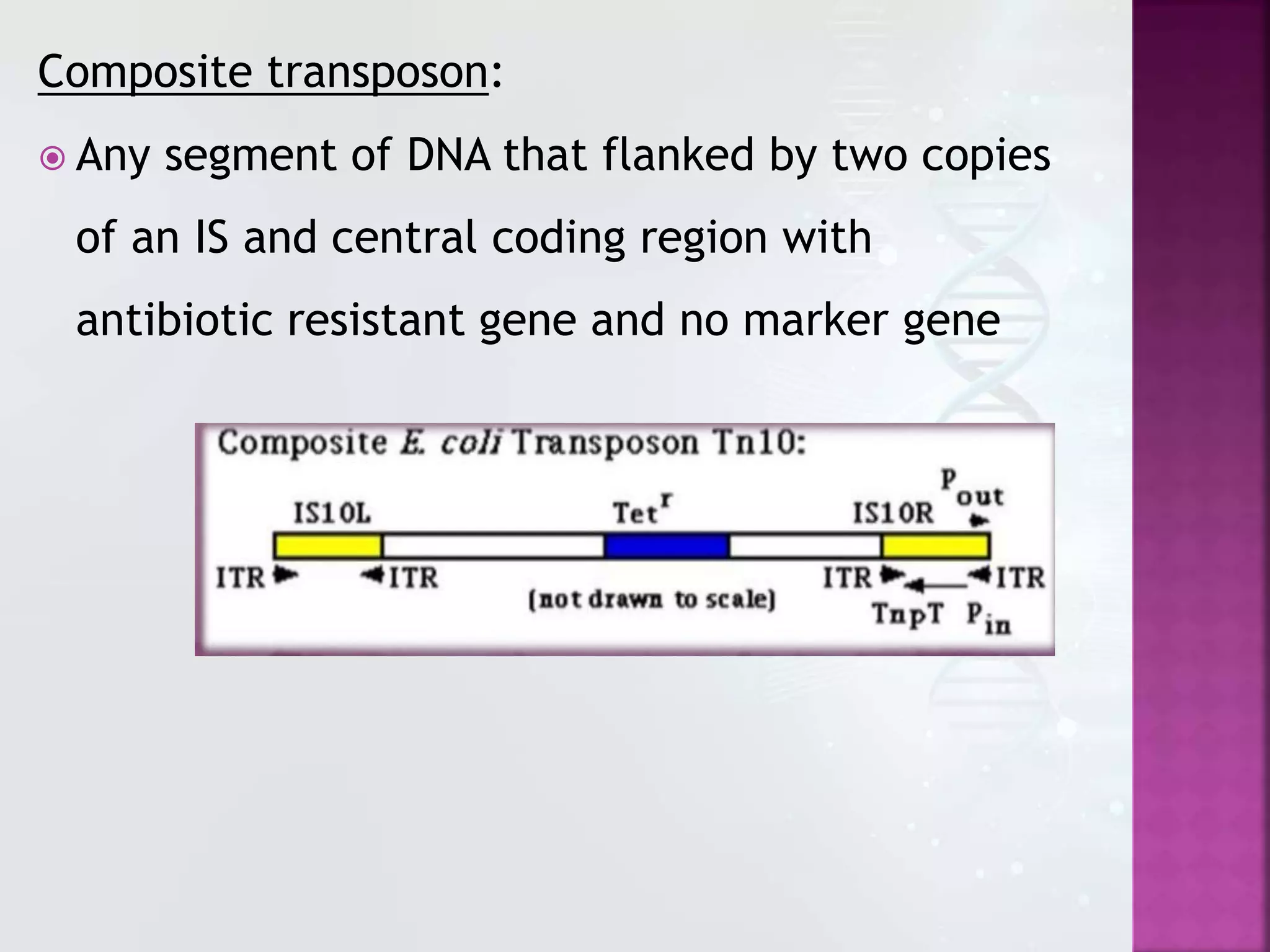 Transposable elements | PPTX