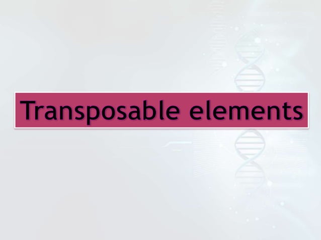Transposable elements | PPTX