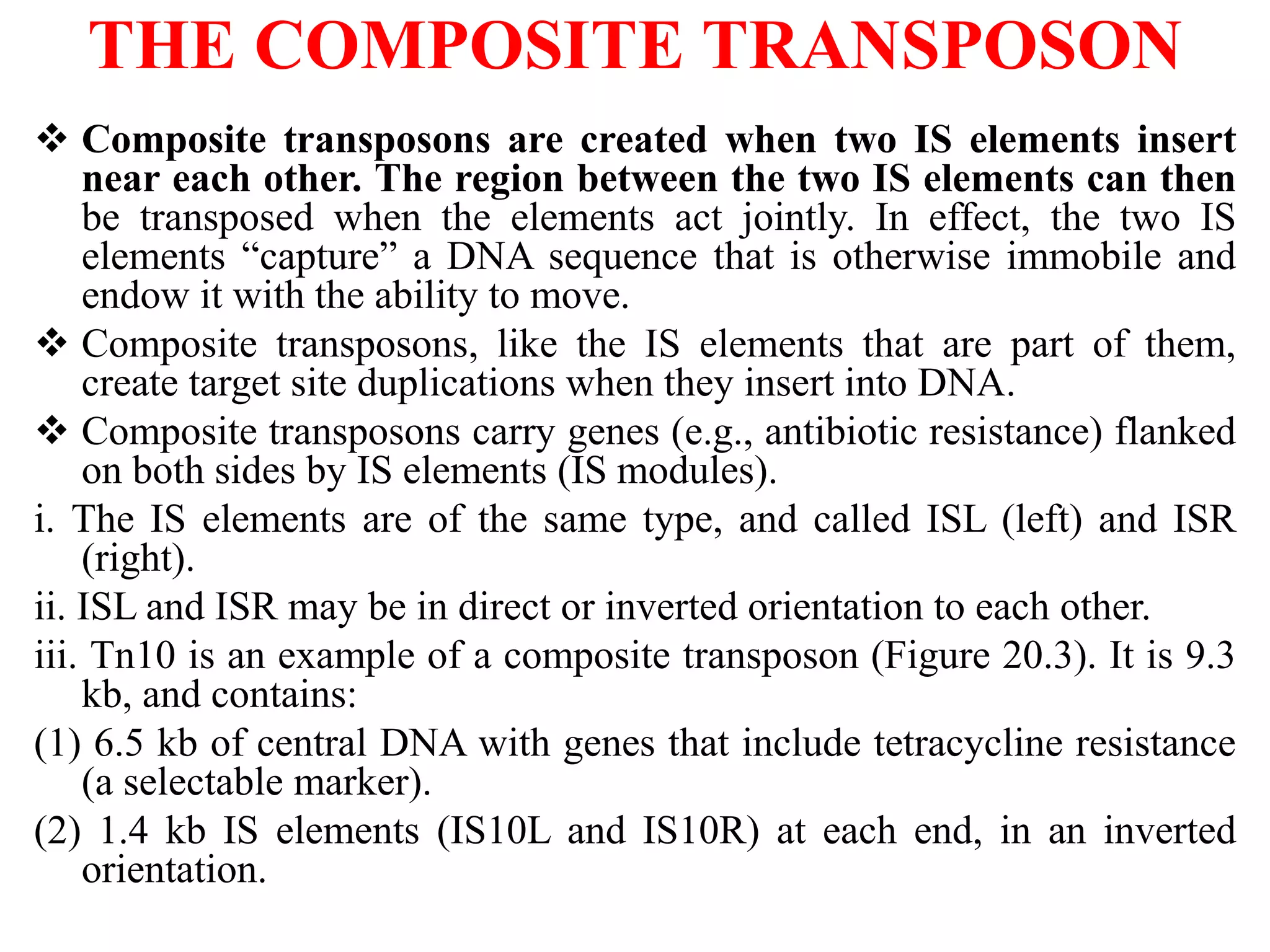 Transposable elements | PPTX