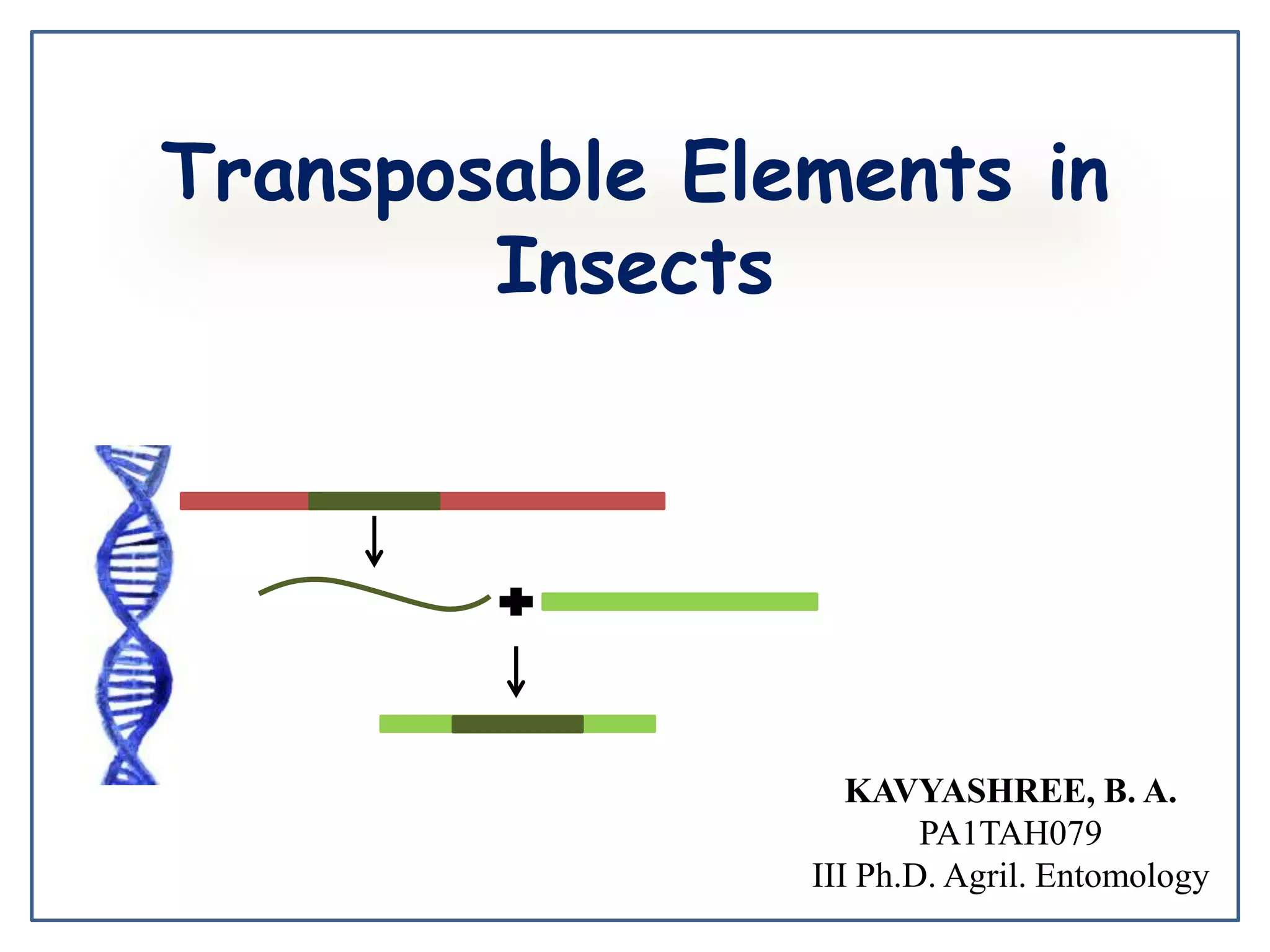 Transposable elements | PPT