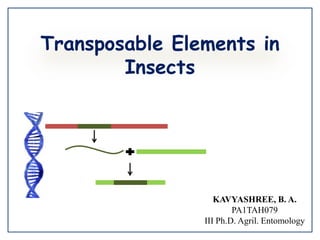 Transposable elements | PPTX