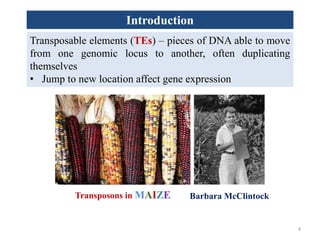 Transposable elements | PPT