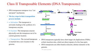 Transposable Elements I Role and Types of TEs | PPTX