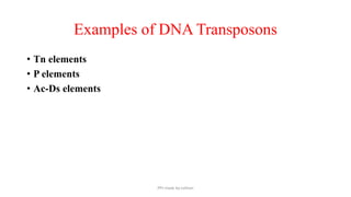 Transposable Elements I Role and Types of TEs | PPTX