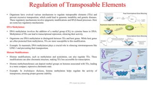 Transposable Elements I Role and Types of TEs | PPTX