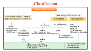 Transposable Elements I Role and Types of TEs | PPTX
