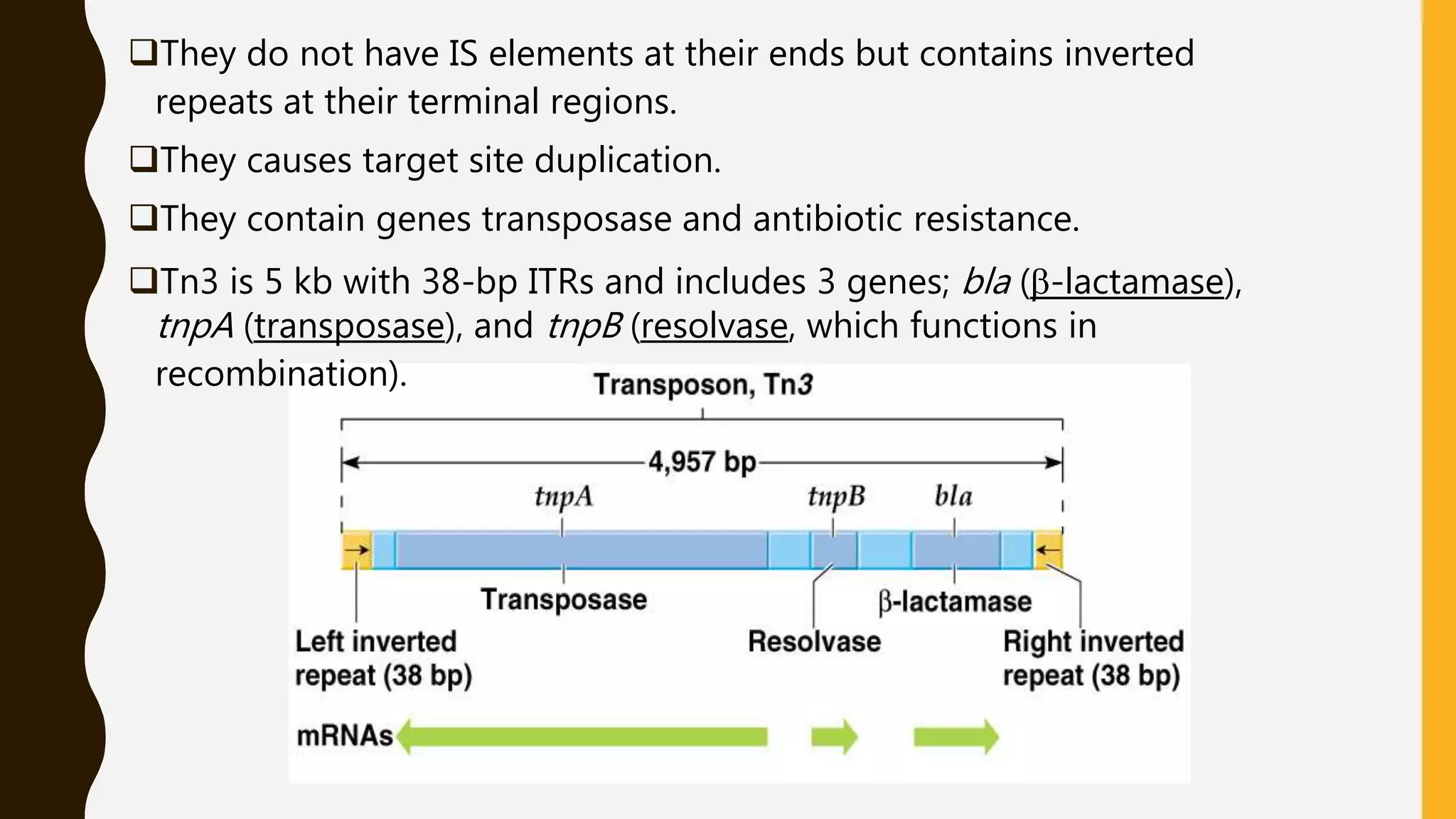 Transposable elements - MAYUR SONAGARA | PPTX