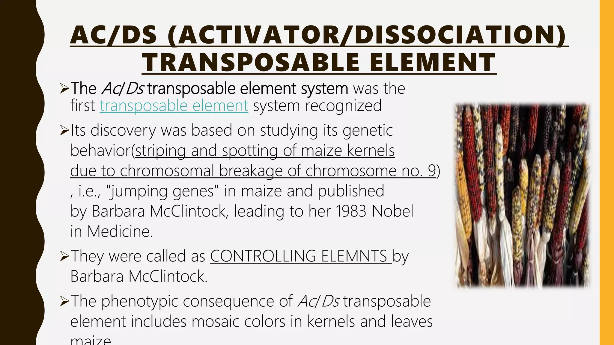Transposable elements - MAYUR SONAGARA | PPTX