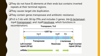 Transposable elements - MAYUR SONAGARA | PPTX