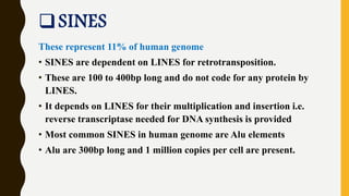 Transposable elements - MAYUR SONAGARA | PPTX