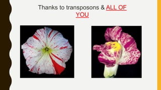 Transposable elements - MAYUR SONAGARA | PPTX