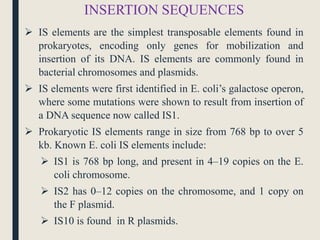 Transposable elements | PPTX